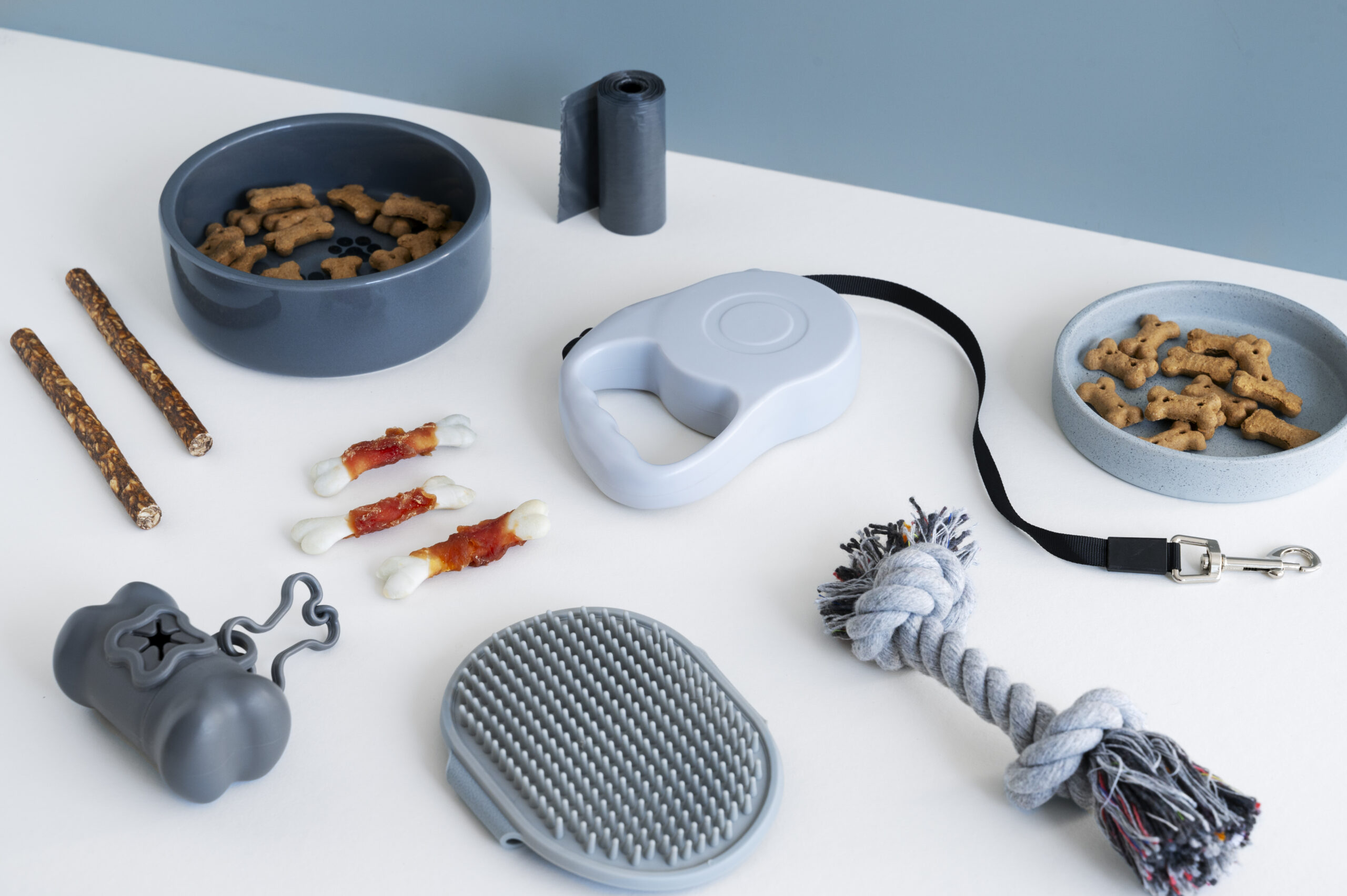 Complete Guide to Must-Have Pet Accessories